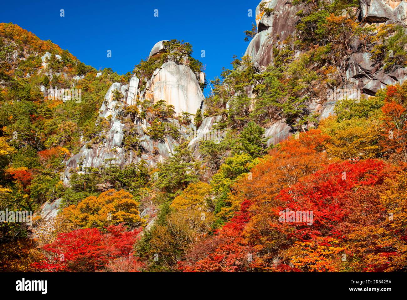 Shosenkyo Kakuen Peak in Autumn Leaves Stock Photo - Alamy
