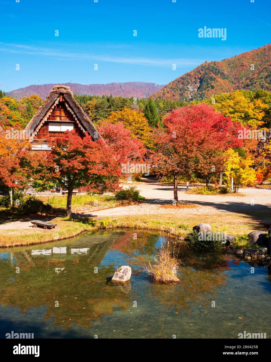 Autumn leaves and Shirakawa-go Stock Photo - Alamy