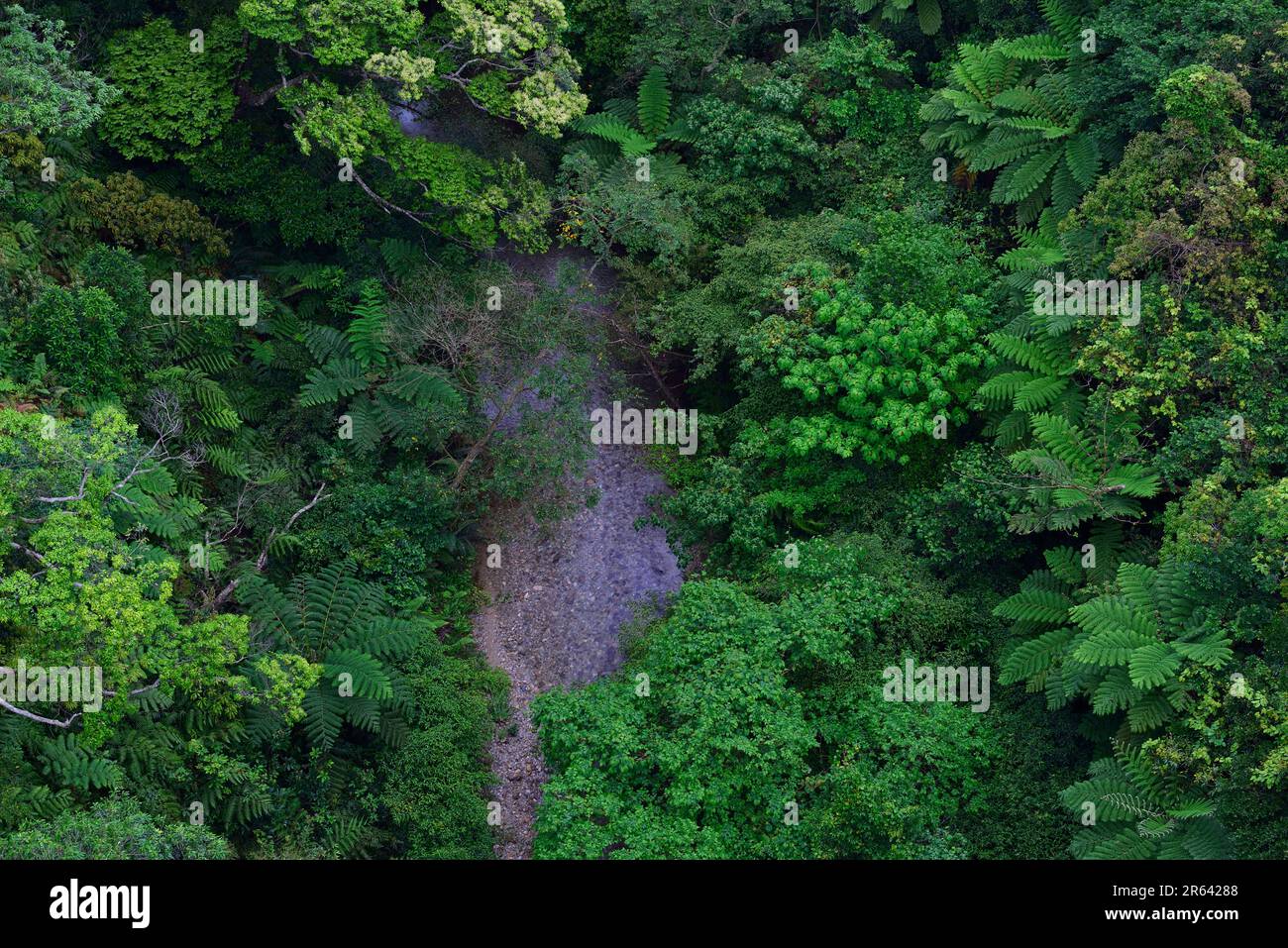 Yanbaru hi-res stock photography and images - Alamy