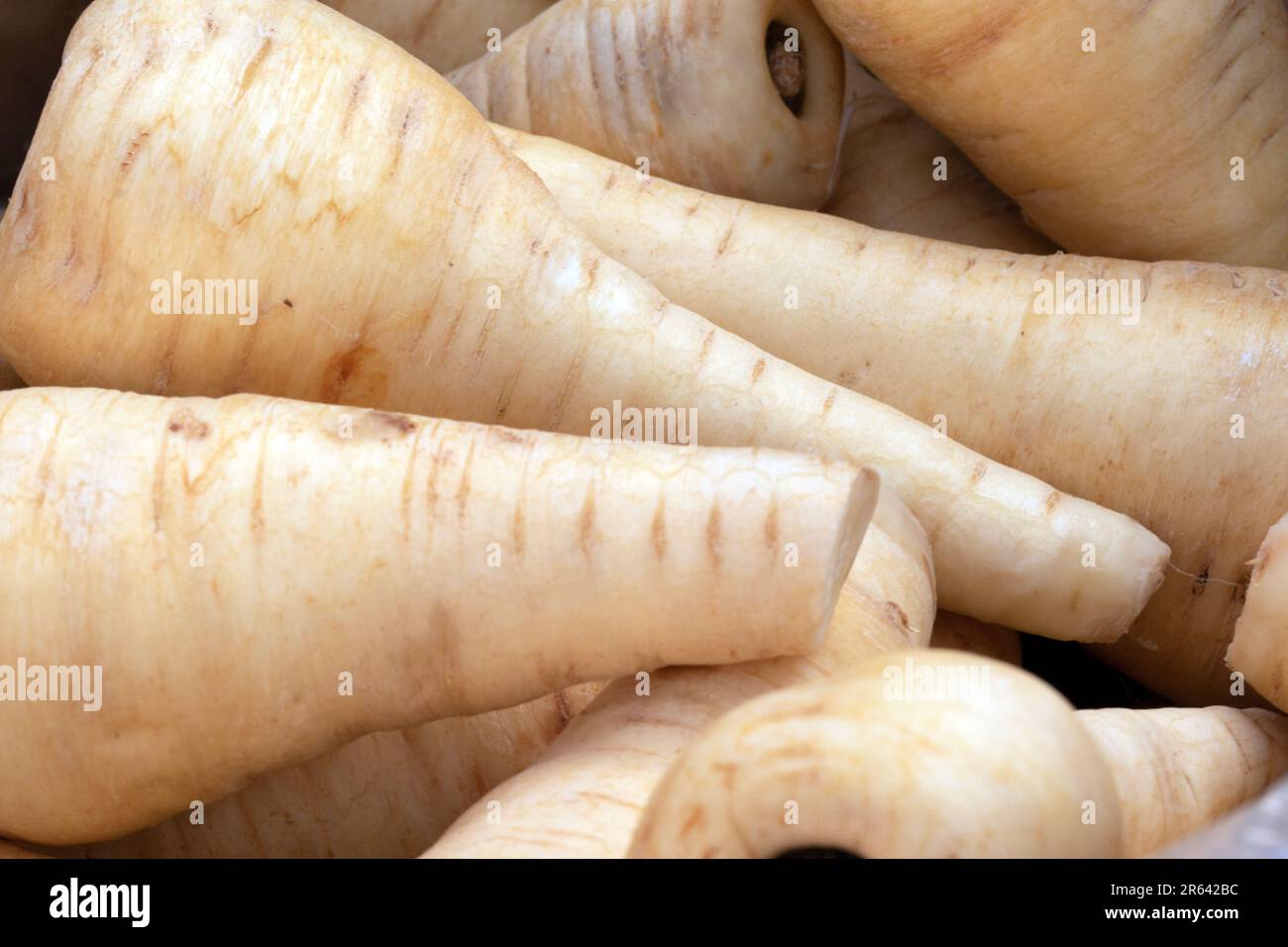 Pile of parsnips hi-res stock photography and images - Alamy