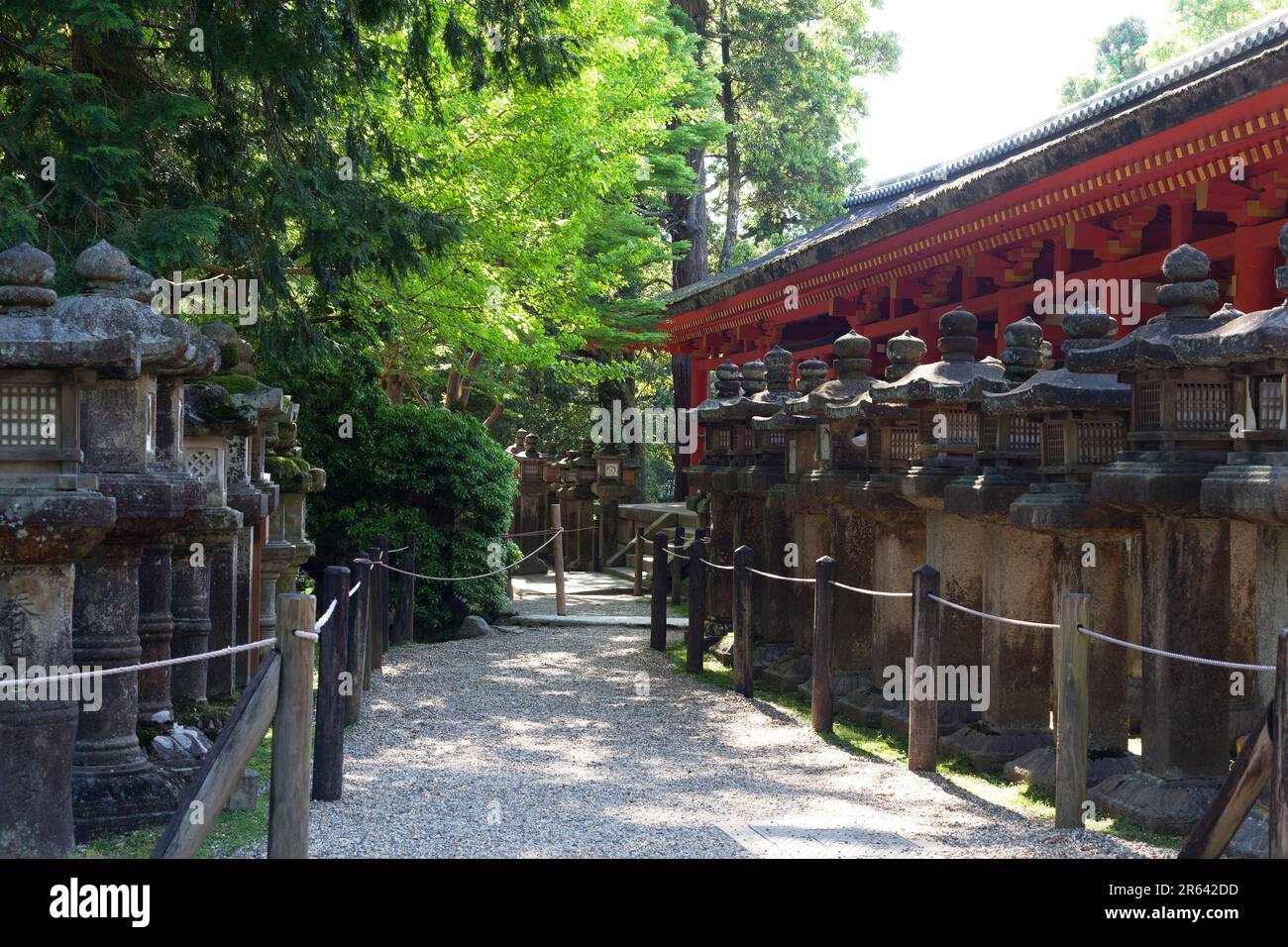Kasuga-taisha Shrine in fresh green Stock Photo - Alamy