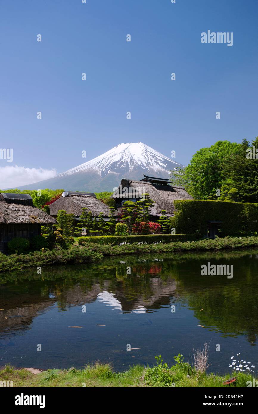 Black alder museum hi-res stock photography and images - Alamy