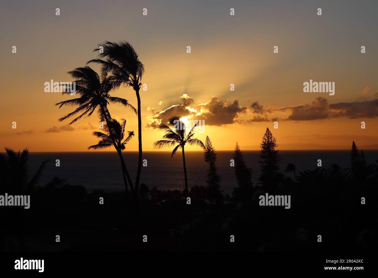 Nature images from peaceful moments Stock Photo - Alamy