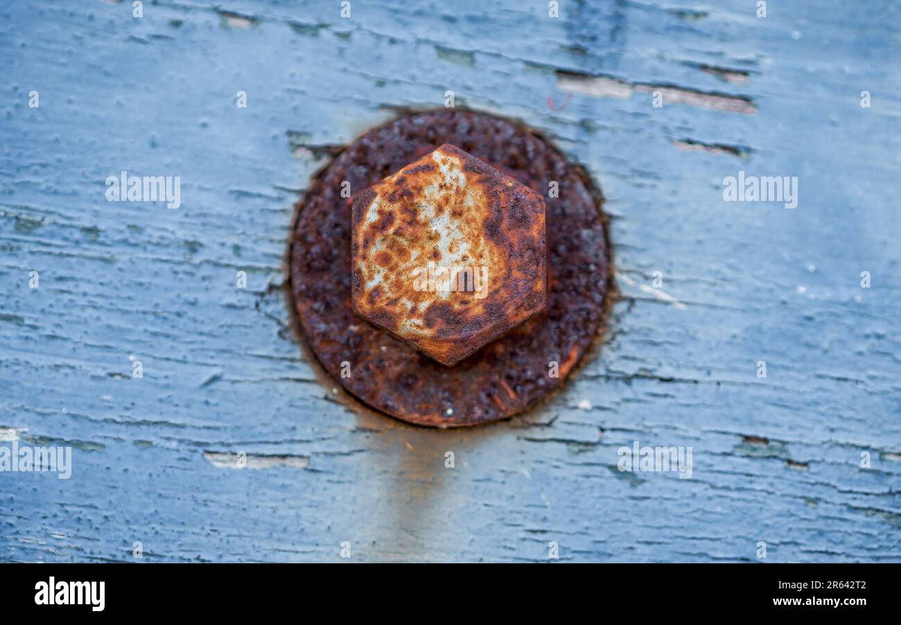 Close up of rusty round bolt and washer on weathered wooden Stock Photo ...