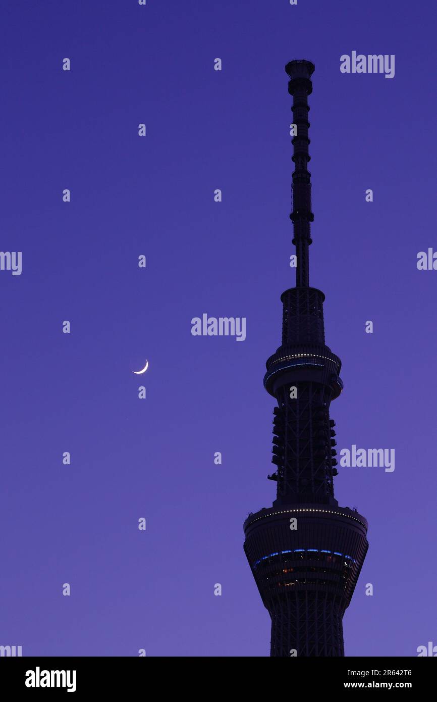 Tokyo Sky Tree and crescent moon at magic hour Stock Photo - Alamy