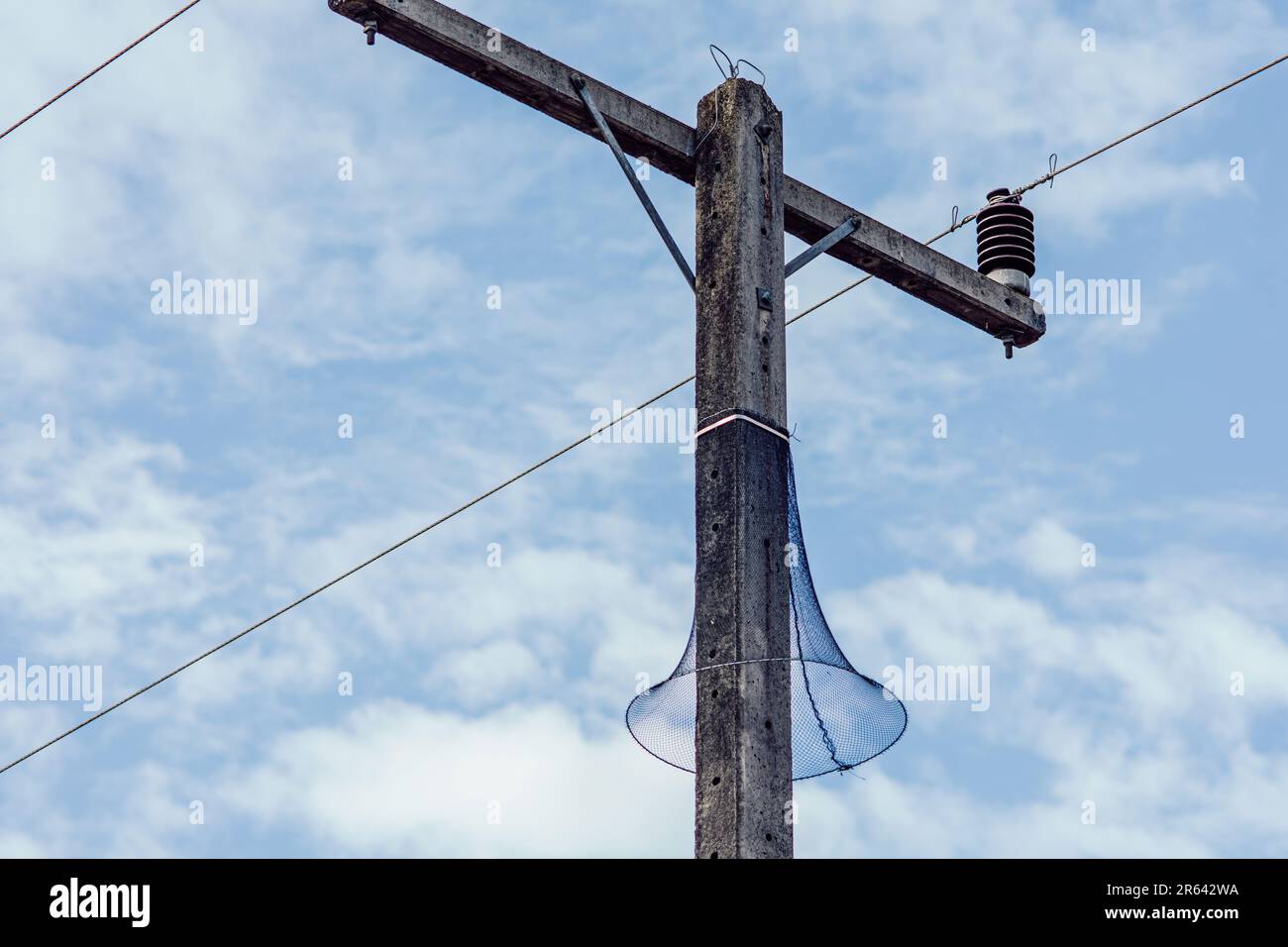 Nylon mesh or snake guard net around electric pole for protect animals ...