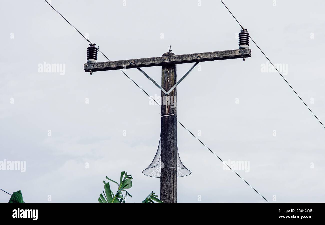 Nylon mesh or snake guard net around electric pole for protect animals ...