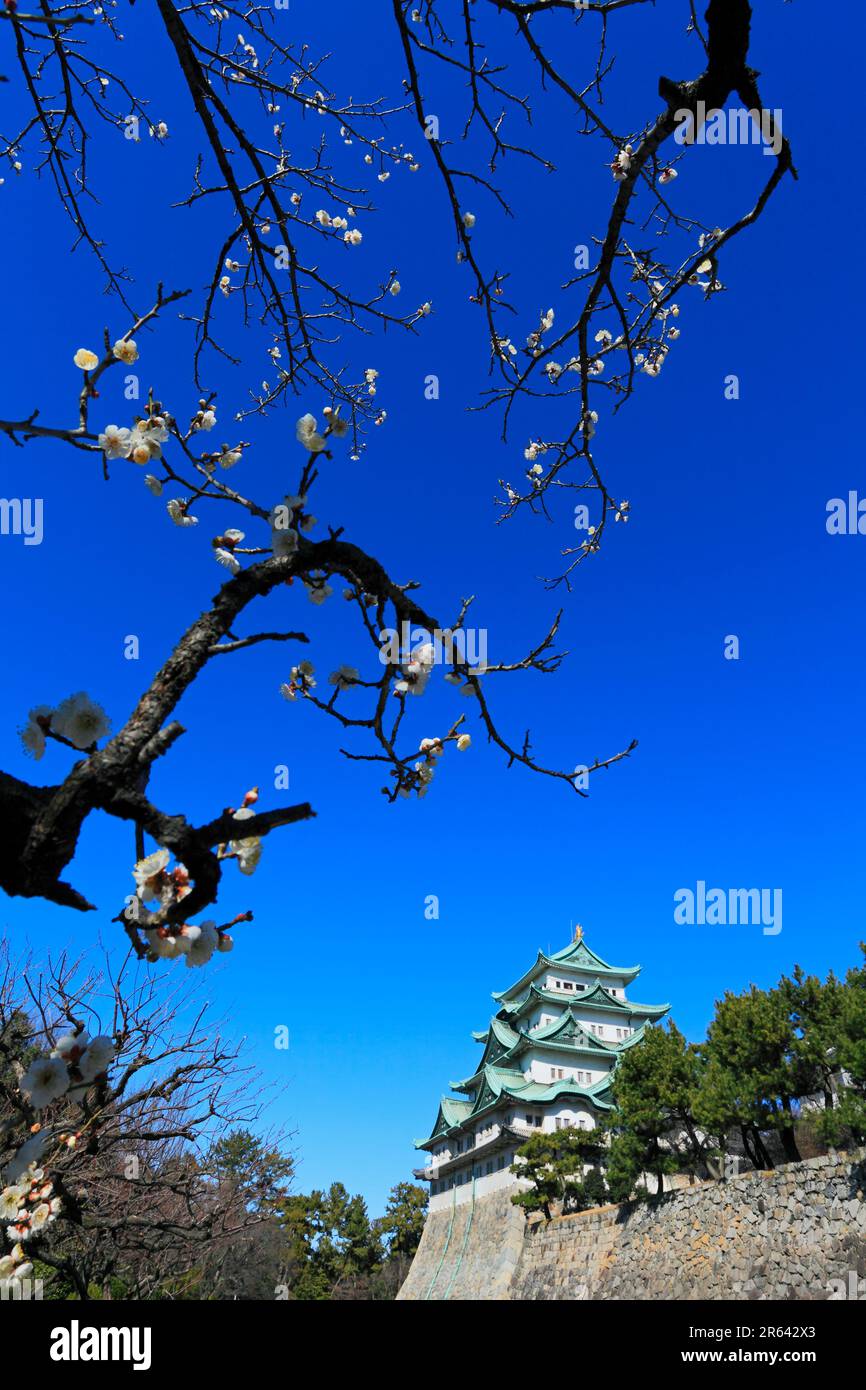 Japanese building sites hi-res stock photography and images - Alamy