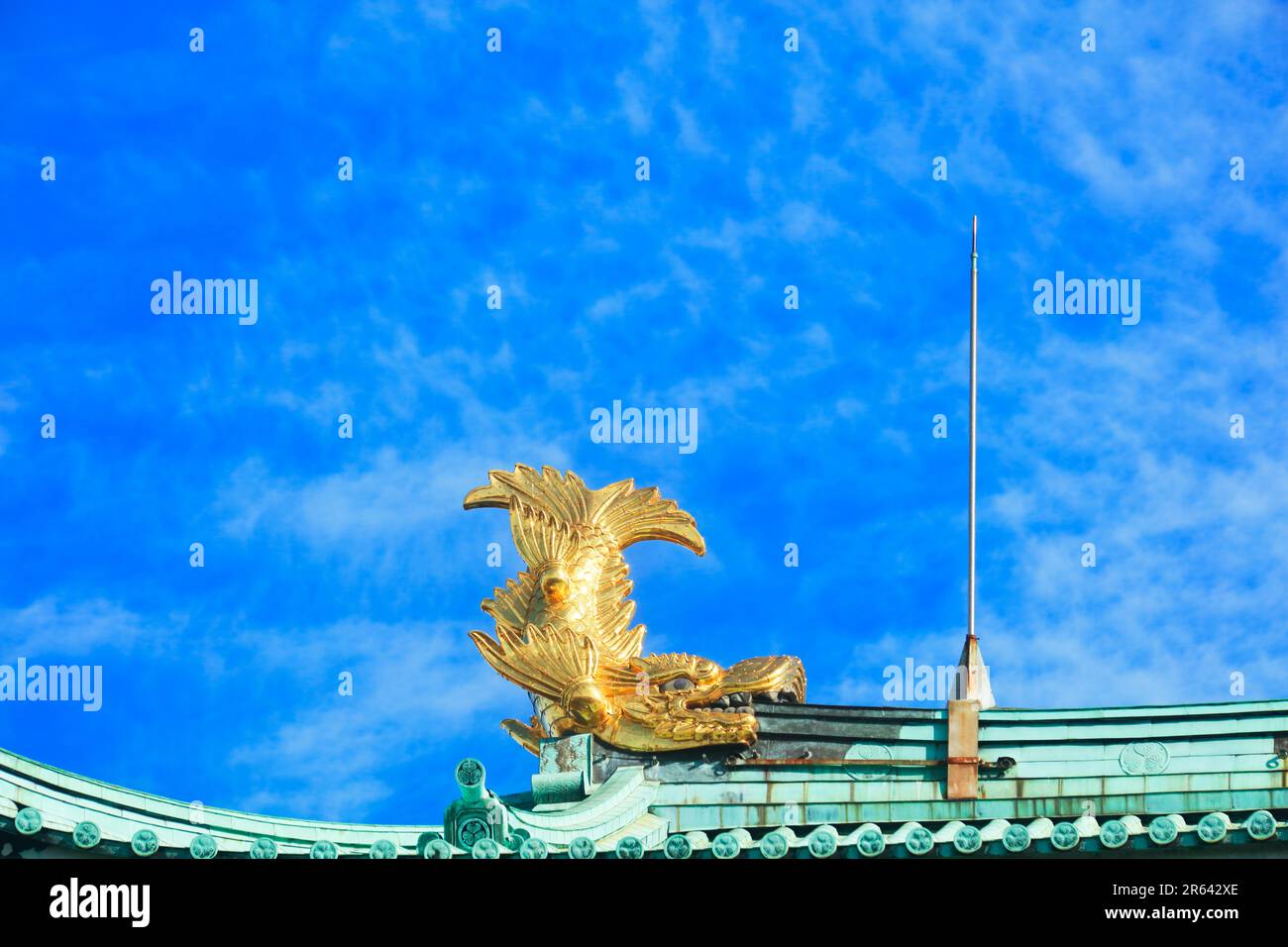 Golden shachi hi-res stock photography and images - Alamy