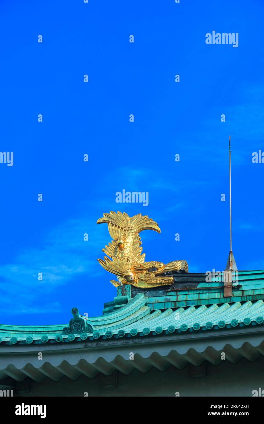 Golden shachi hi-res stock photography and images - Alamy