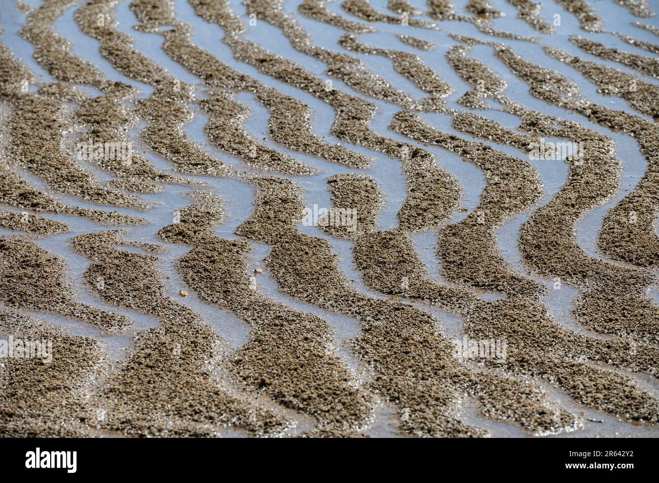 Patterns in wet sand hi-res stock photography and images - Alamy