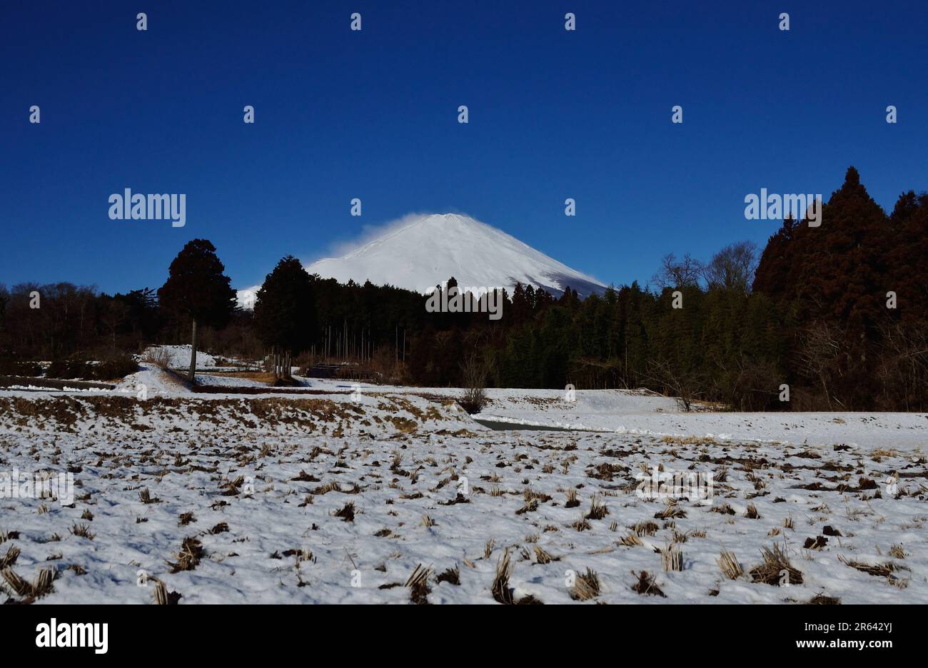 Mount Fuji in winter Stock Photo - Alamy
