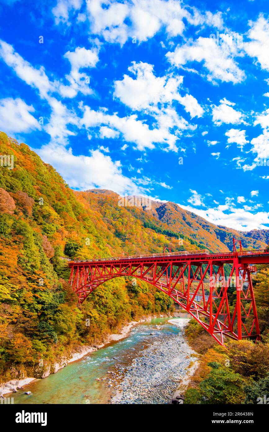 Autumn leaves and the trolley car in Kurobe Gorge Stock Photo - Alamy