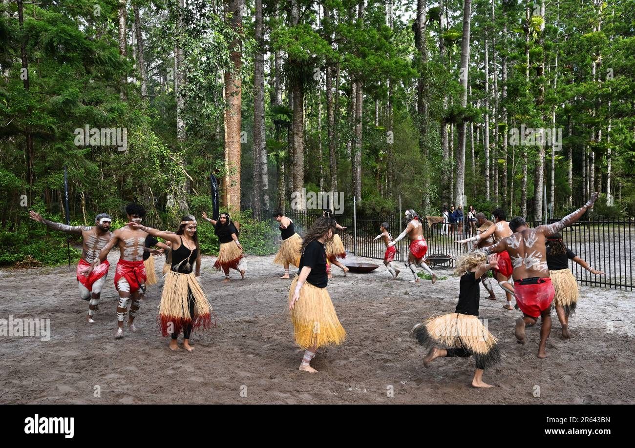 Butchulla traditional owners K'gari - Australian Native Tribe