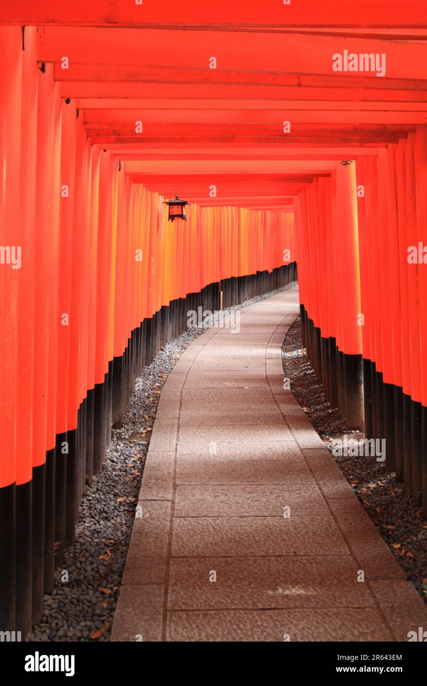 Thousand Torii corridor of Fushimi Inari-Taisha Stock Photo - Alamy