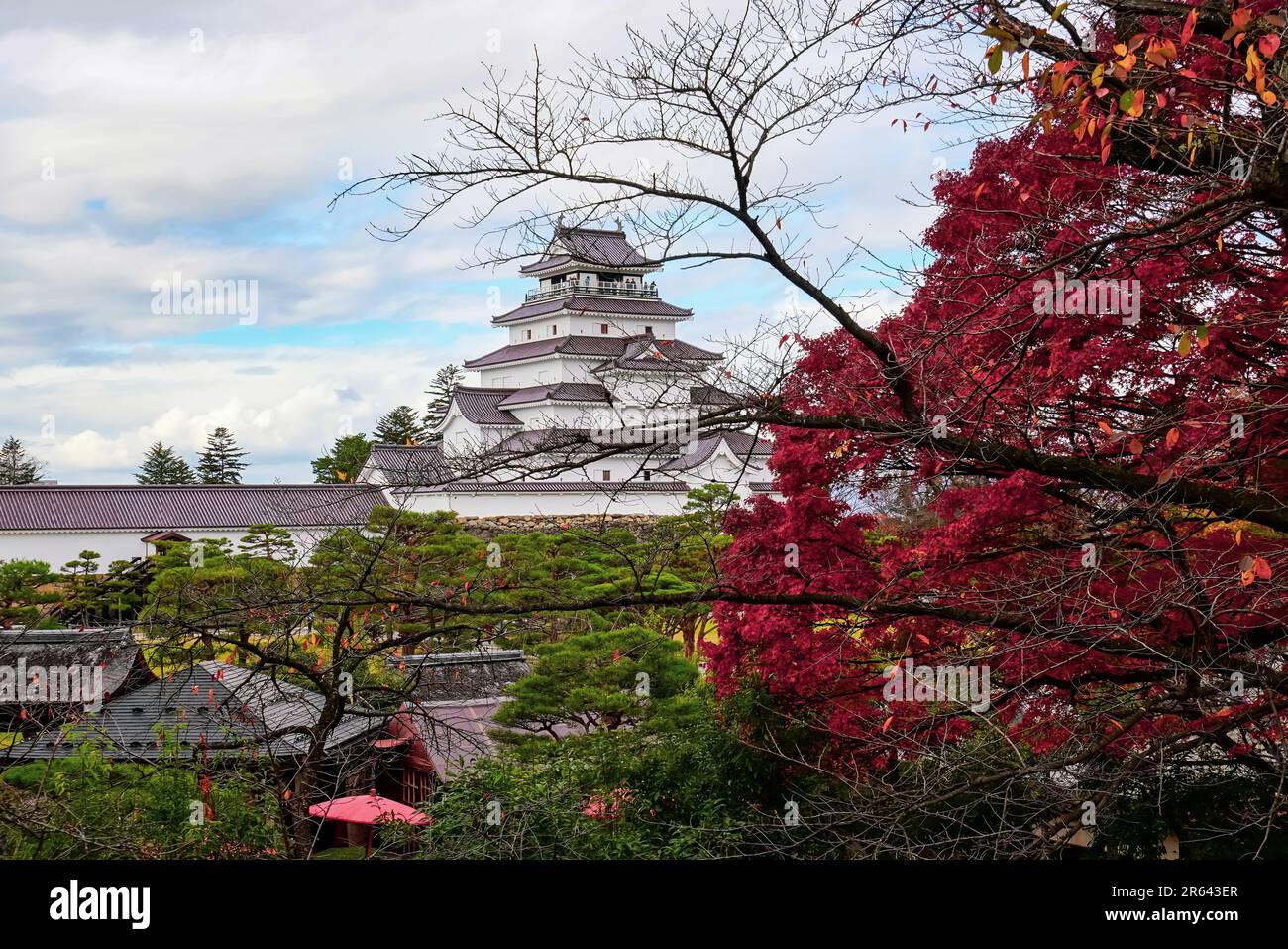 Tsuruga and autumn hi-res stock photography and images - Alamy