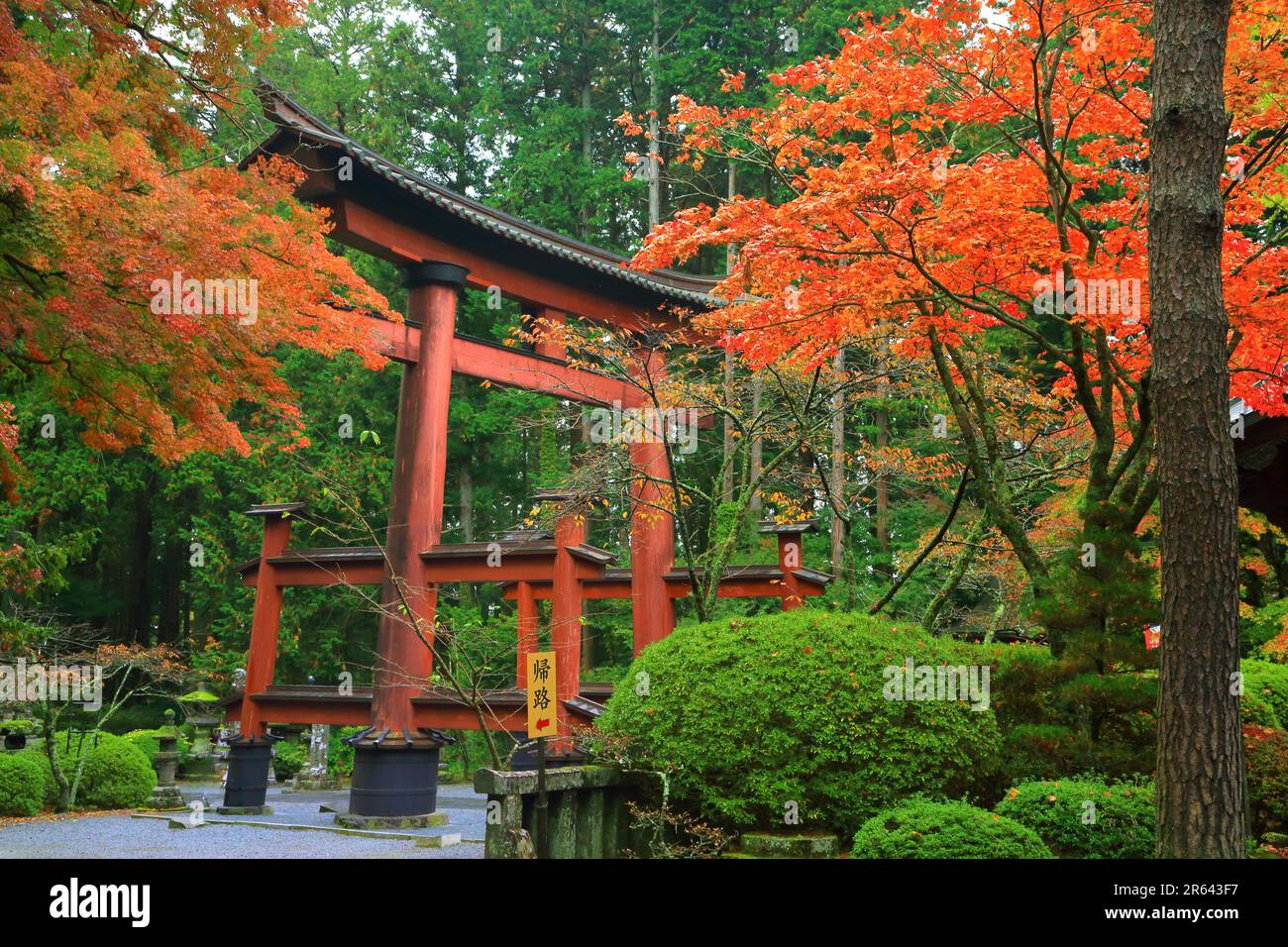 Kitaguchi Hongu Fuji Sengen Shrine in Autumn Stock Photo - Alamy