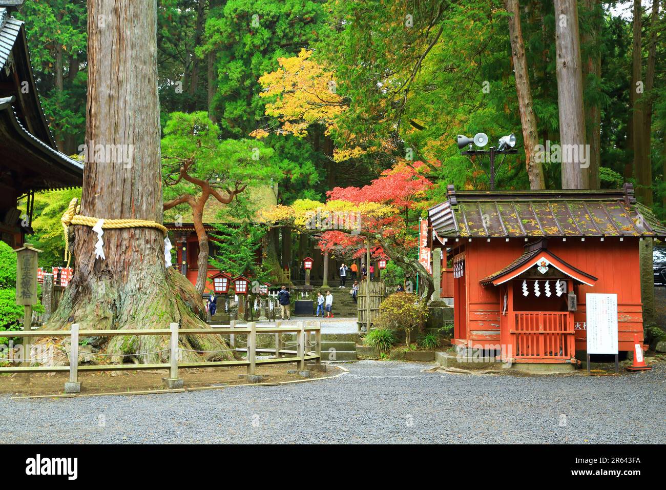 Kitaguchi Hongu Fuji Sengen Shrine in Autumn Stock Photo - Alamy