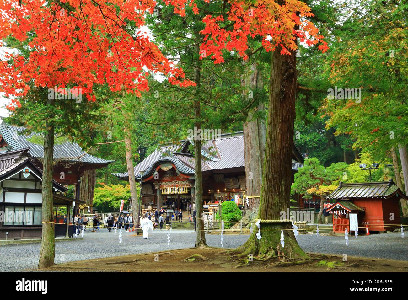 Kitaguchi Hongu Fuji Sengen Shrine in Autumn Stock Photo - Alamy
