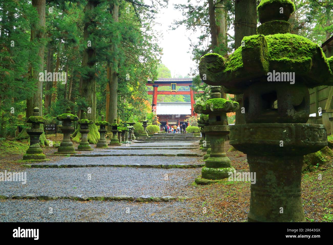 Kitaguchi Hongu Fuji Sengen Shrine in Autumn Stock Photo - Alamy