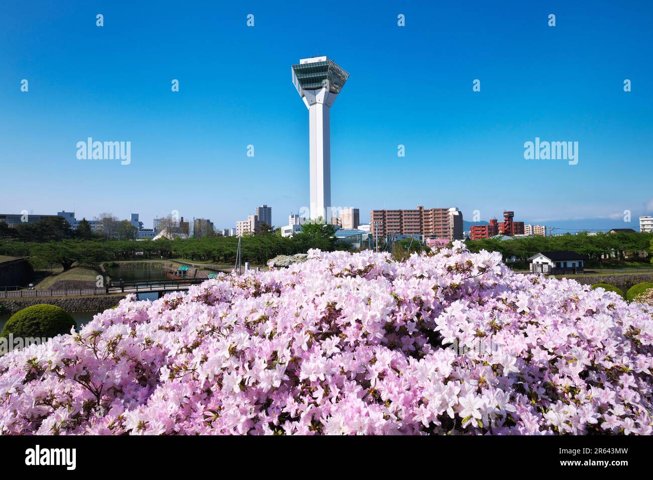 Goryokaku Tower and azaleas in Goryokaku Park Stock Photo - Alamy