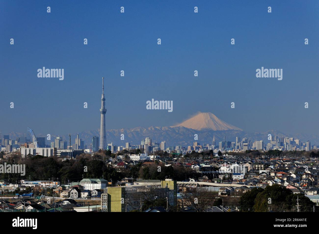 Tokyo Sky Tree and Mount Fuji Stock Photo - Alamy
