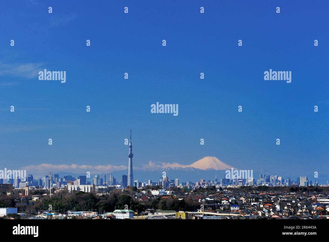Tokyo Sky Tree and Mount Fuji Stock Photo - Alamy