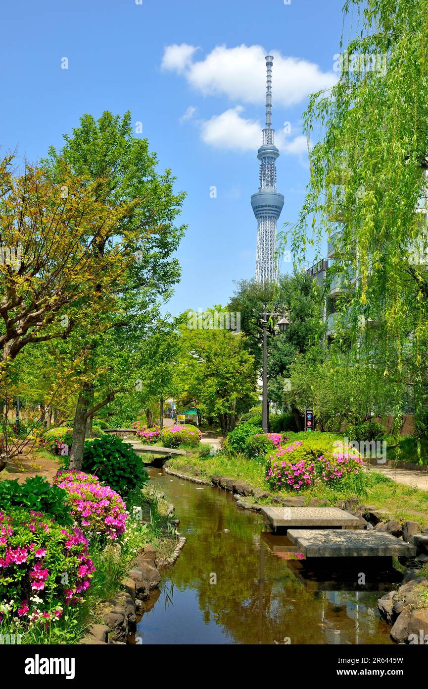 Oyokogawa River Water Park and Sky Tree Stock Photo - Alamy