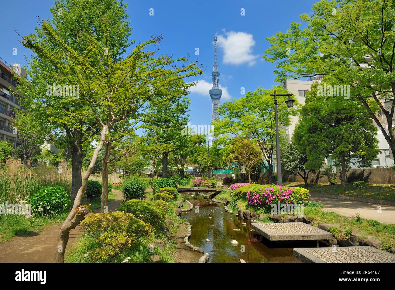 Oyokogawa river hi-res stock photography and images - Alamy