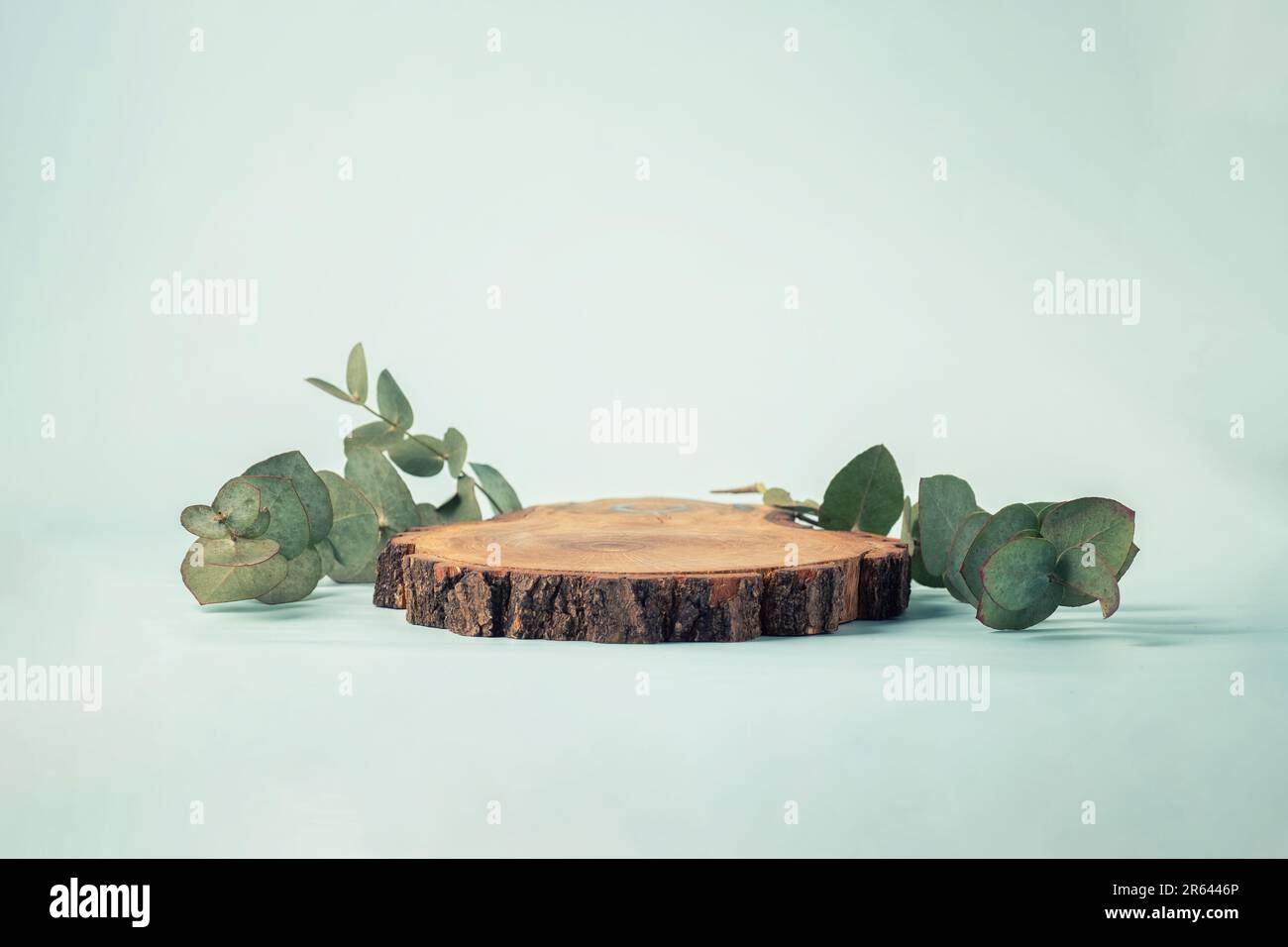 Blank wooden natural podium with green plant leaf, podium to display ...