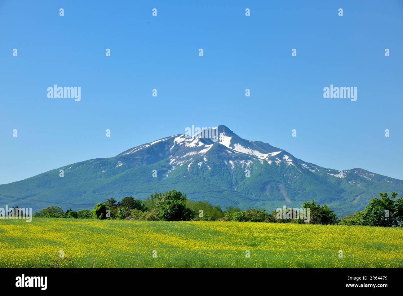 Mt iwaki hi-res stock photography and images - Alamy