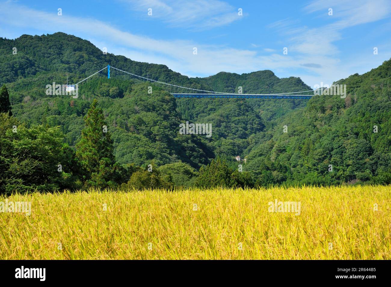 Ryujin big suspension bridge hi-res stock photography and images - Alamy