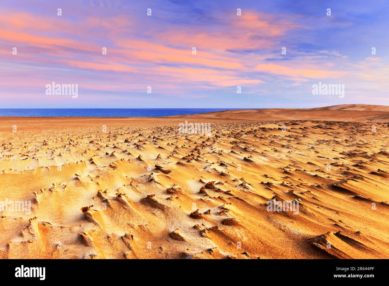 Wind ripples on Tottori Sand Dunes in the morning Stock Photo - Alamy