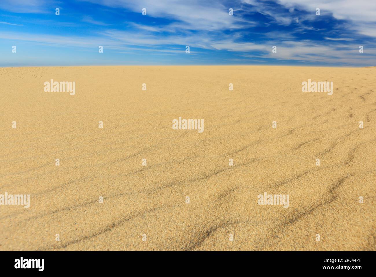 Wind ripples on Tottori Sand Dunes in the morning Stock Photo - Alamy