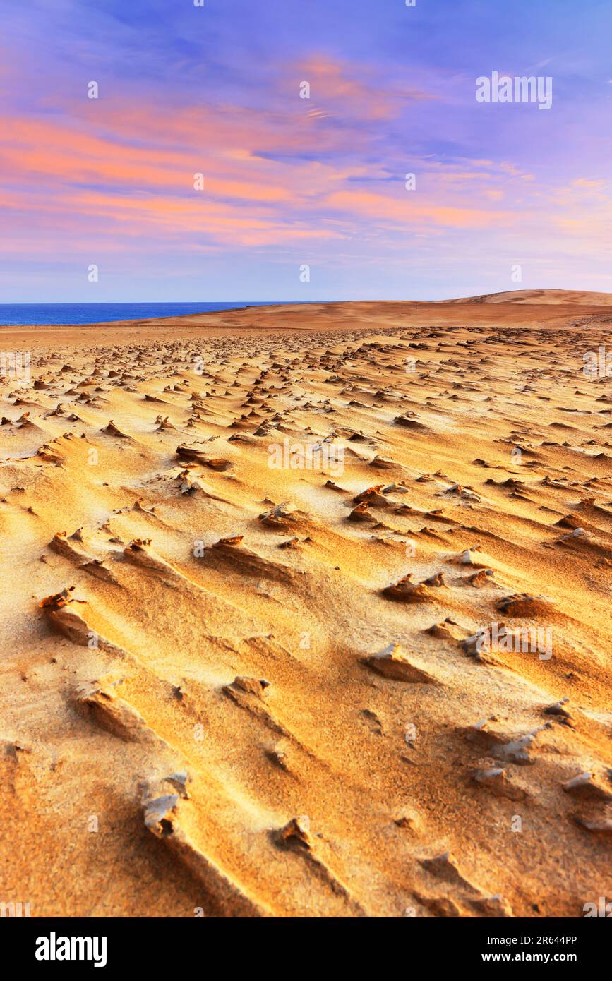 Wind ripples on Tottori Sand Dunes in the morning Stock Photo - Alamy