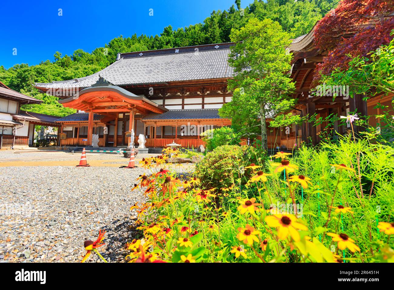 Yokoyuzan Onsenji temple and rudbeckia Stock Photo - Alamy