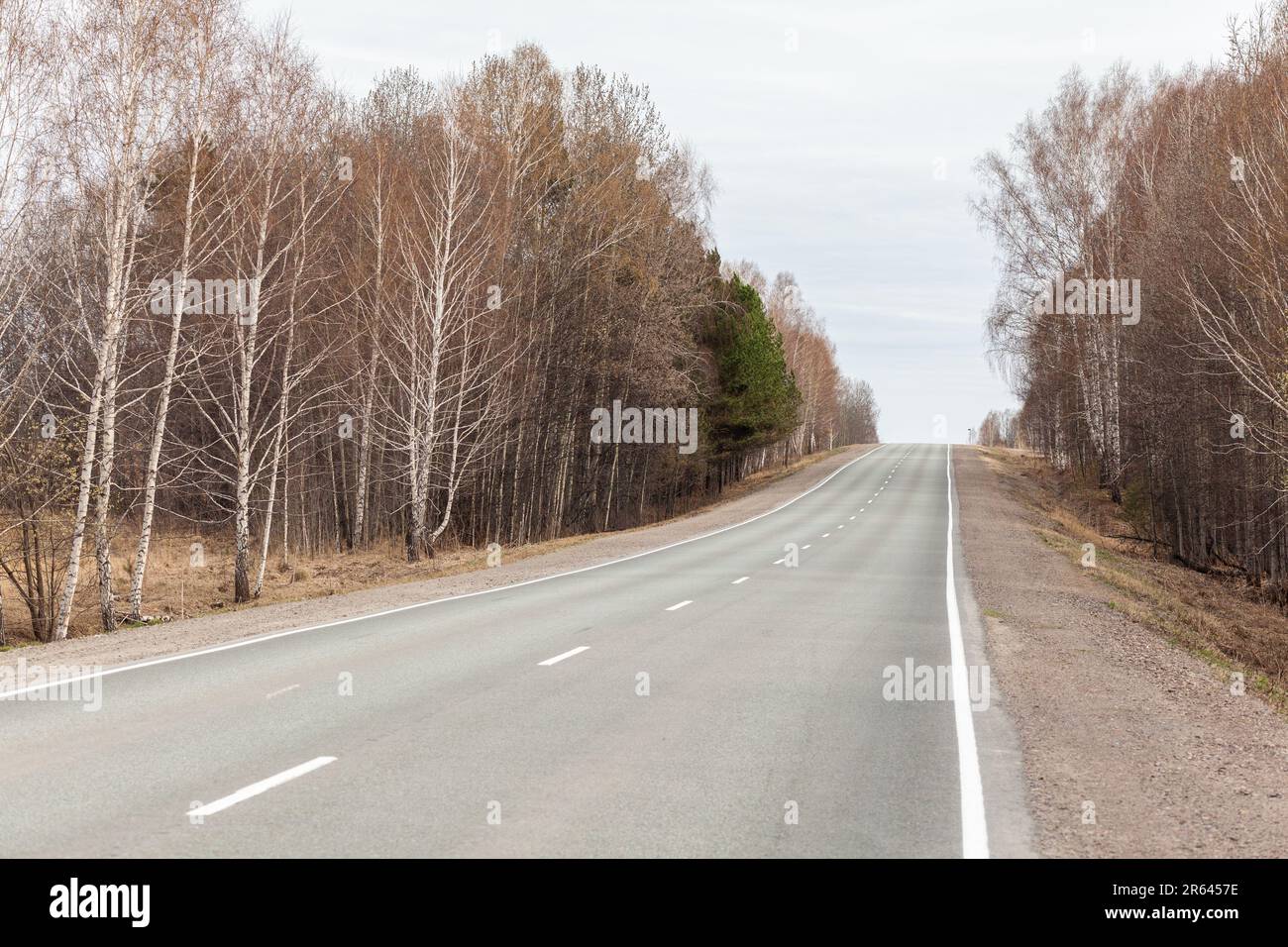 Country road with markings in the middle of the forest. Path and ...