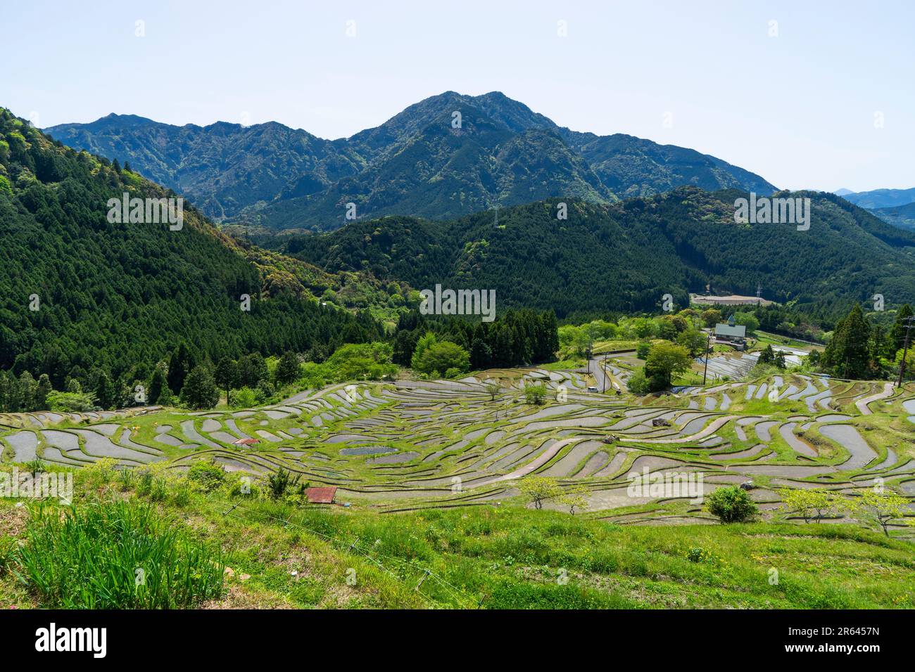 Maruyama rice terrace Stock Photo - Alamy