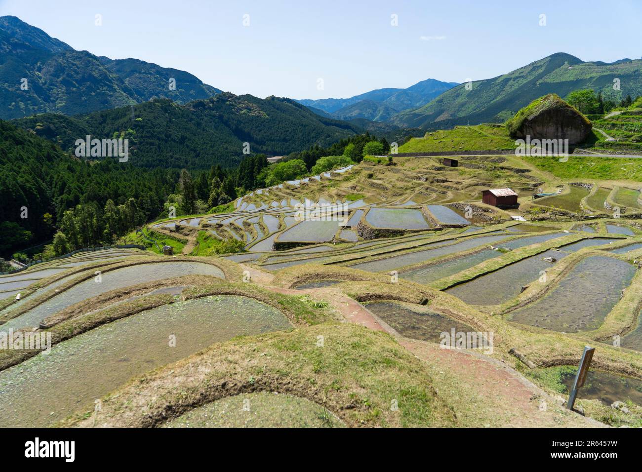 Maruyama rice terrace Stock Photo - Alamy