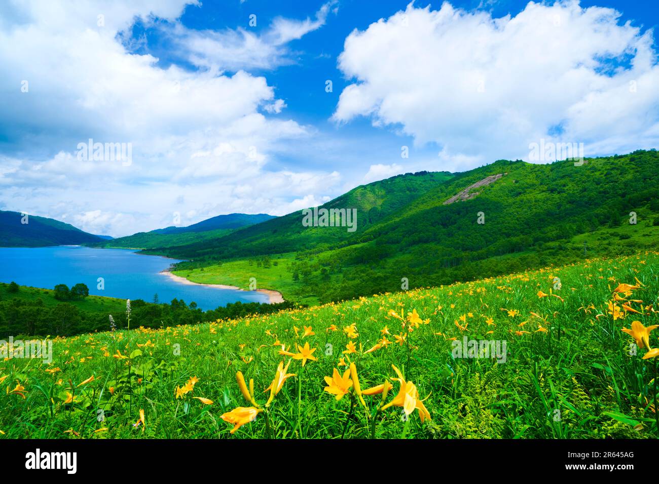Lake Notan and Nikkoukisuge Stock Photo - Alamy