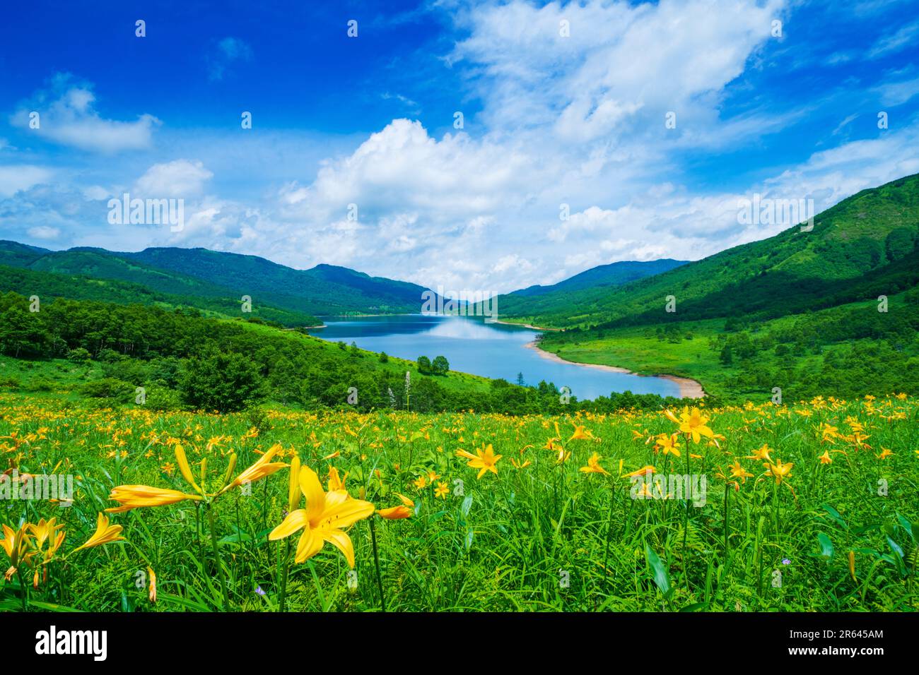 Lake Notan and Nikkoukisuge Stock Photo - Alamy