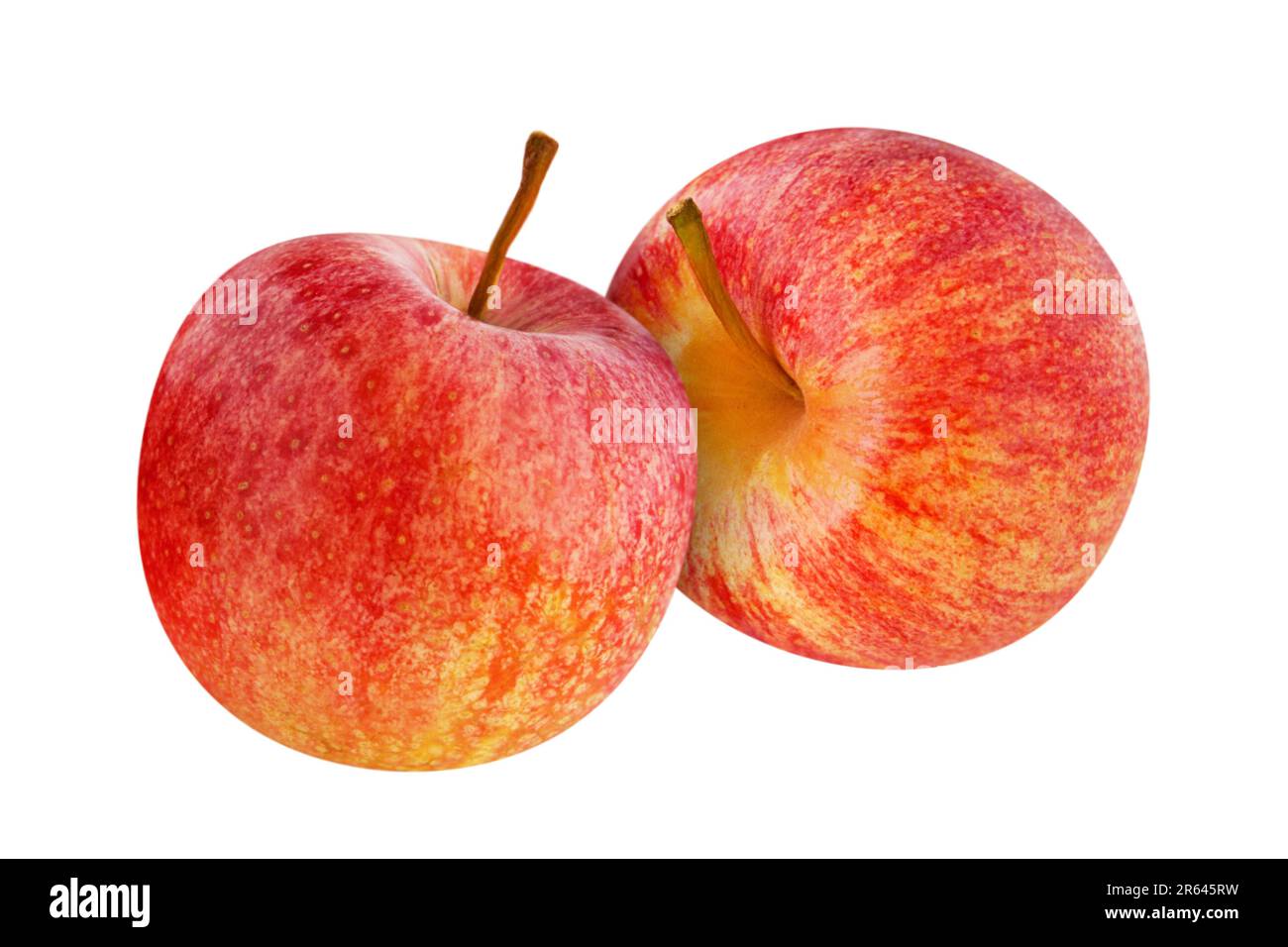 2 Apples isolated on white background Stock Photo - Alamy