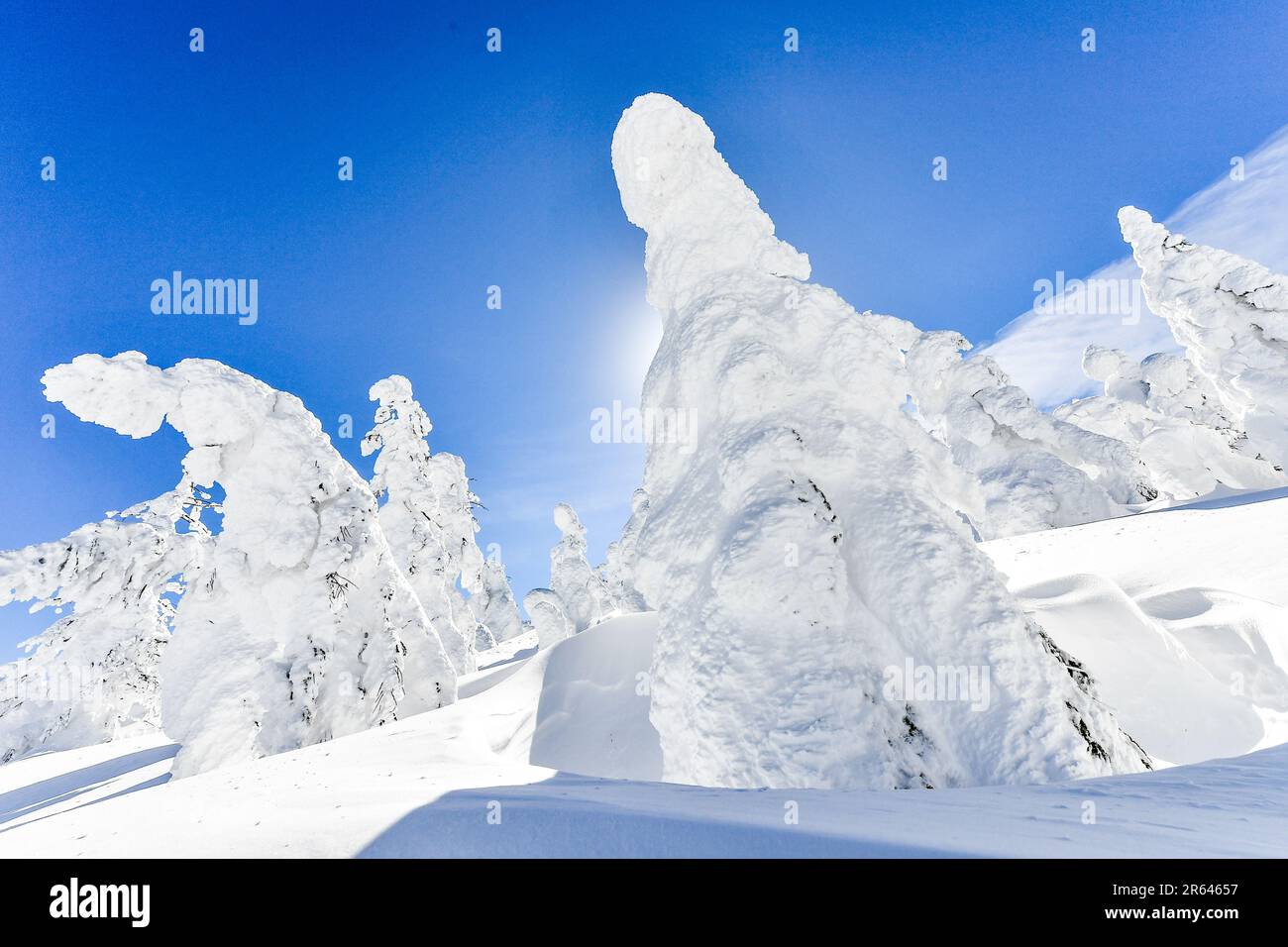 Yamagata Zao frost covered trees Stock Photo - Alamy