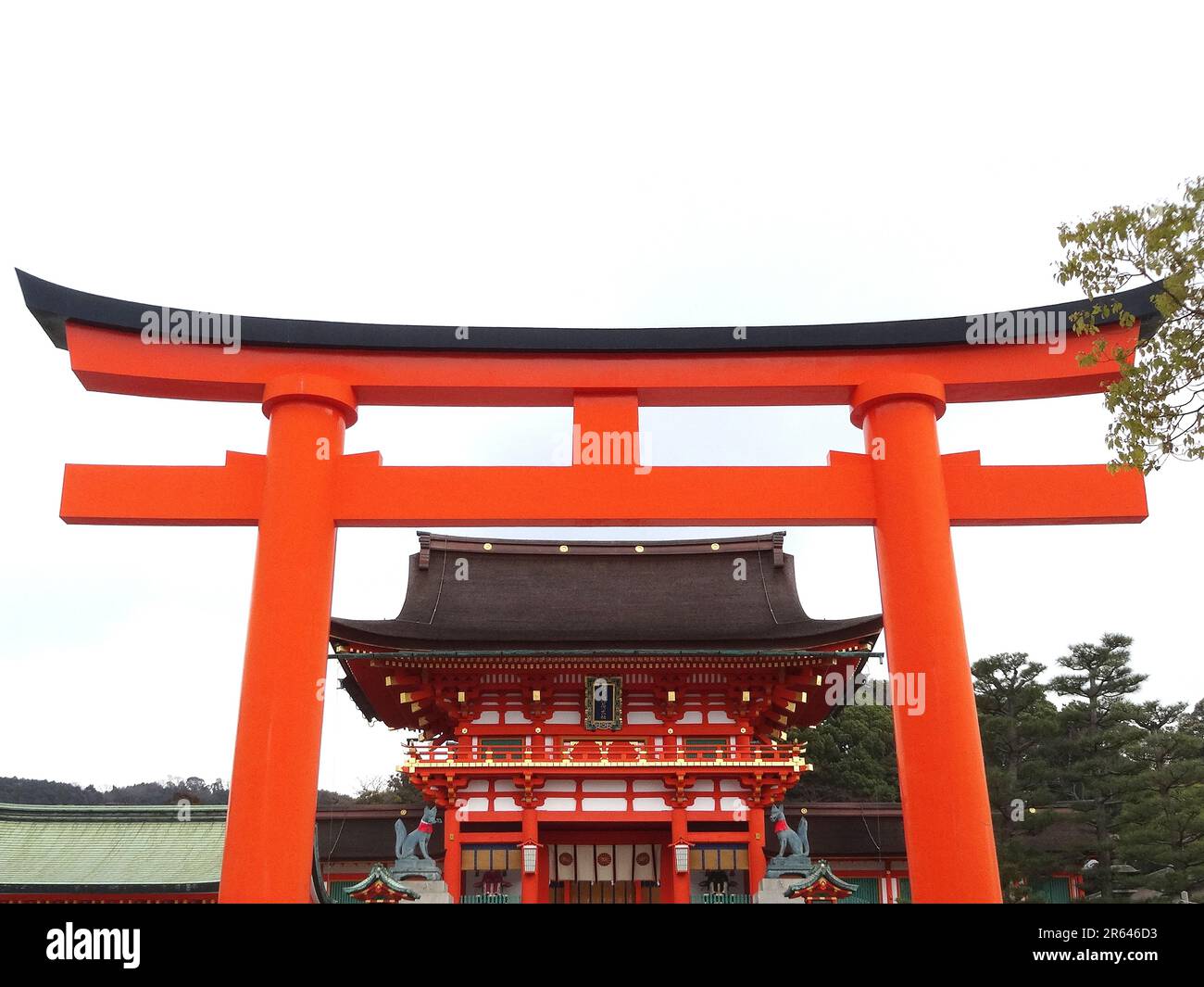 Fushimi inari shrine spring hi-res stock photography and images - Alamy