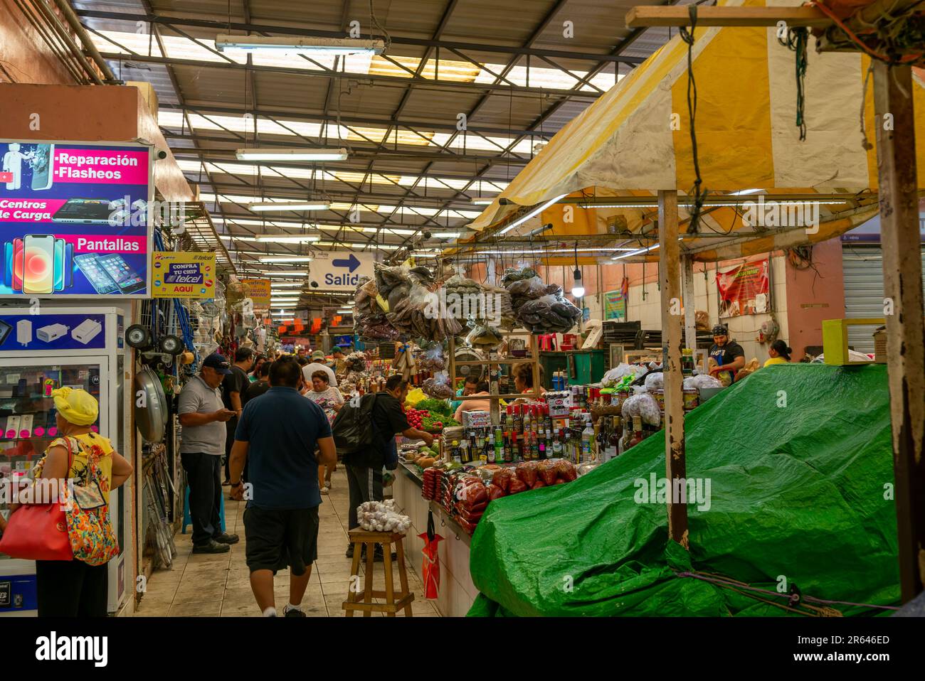 Interior of Mercado Municipal Lucas de Galvez market, Merida, Yucatan ...