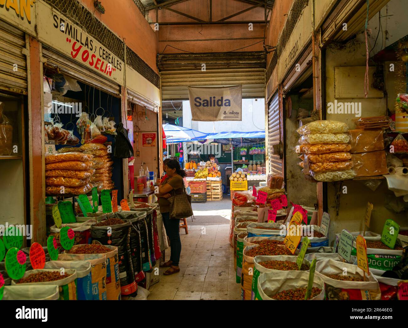 Interior of Mercado Municipal Lucas de Galvez market, Merida, Yucatan ...
