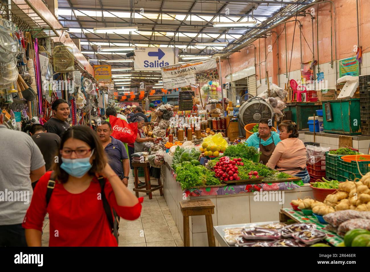 Interior of Mercado Municipal Lucas de Galvez market, Merida, Yucatan ...