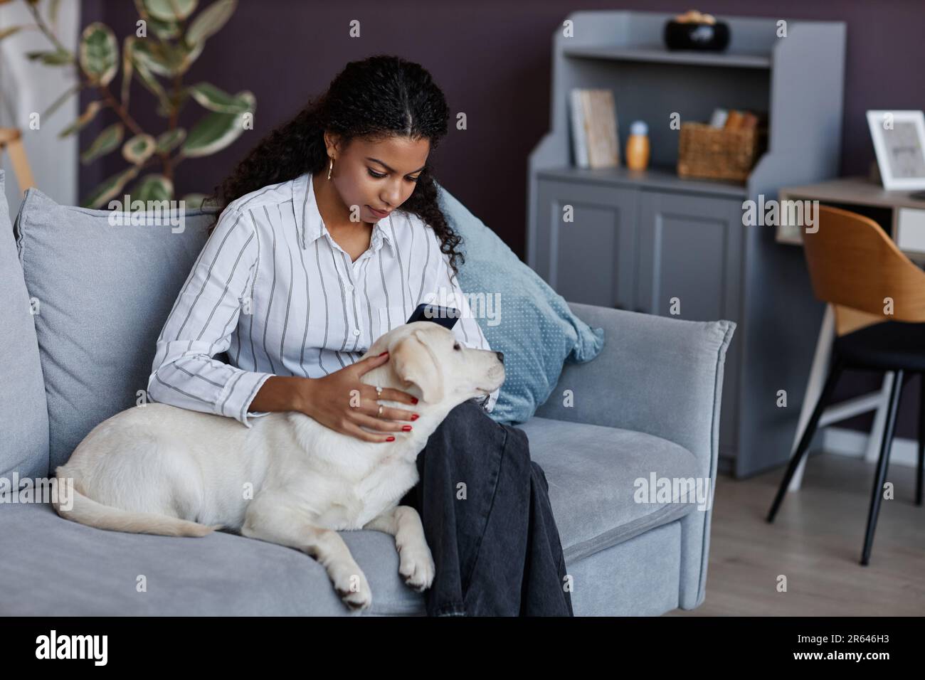 Portrait of black young woman cuddling with cute puppy on sofa at home ...