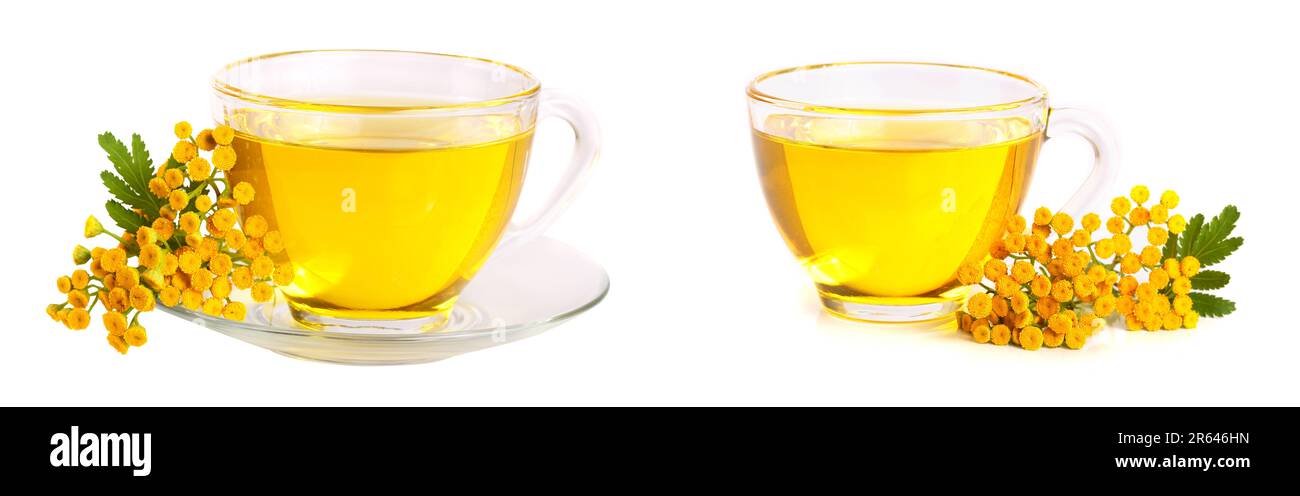 tansy tea with flowers isolated on white background Stock Photo - Alamy