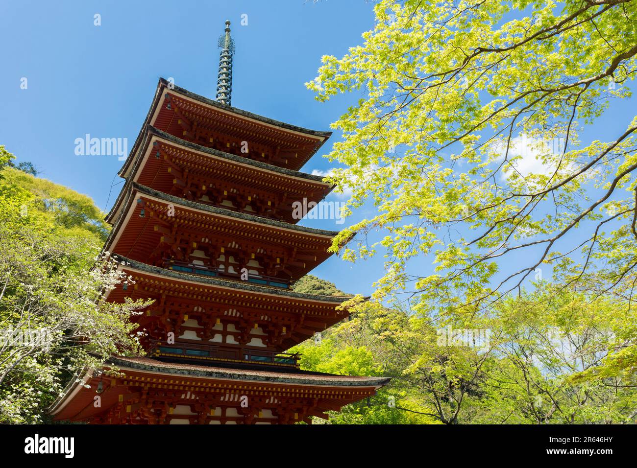 Five-storied pagoda of Haseji Temple Stock Photo - Alamy